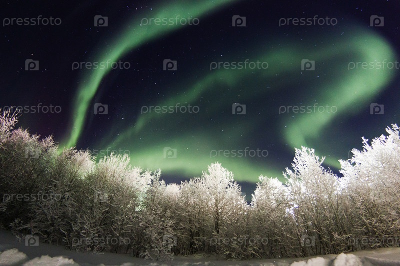 Фотография на тему Северное сияние | PressFoto